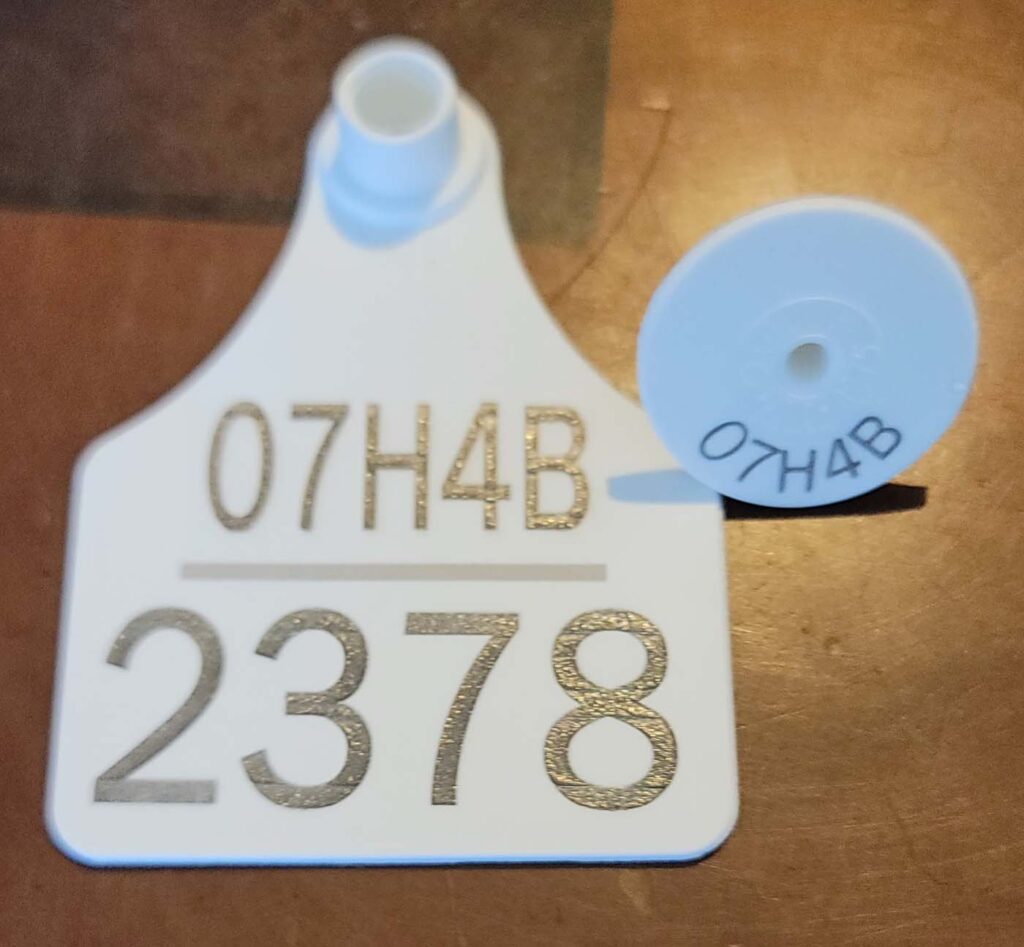 Ear Tags | Gray Laser Engraving