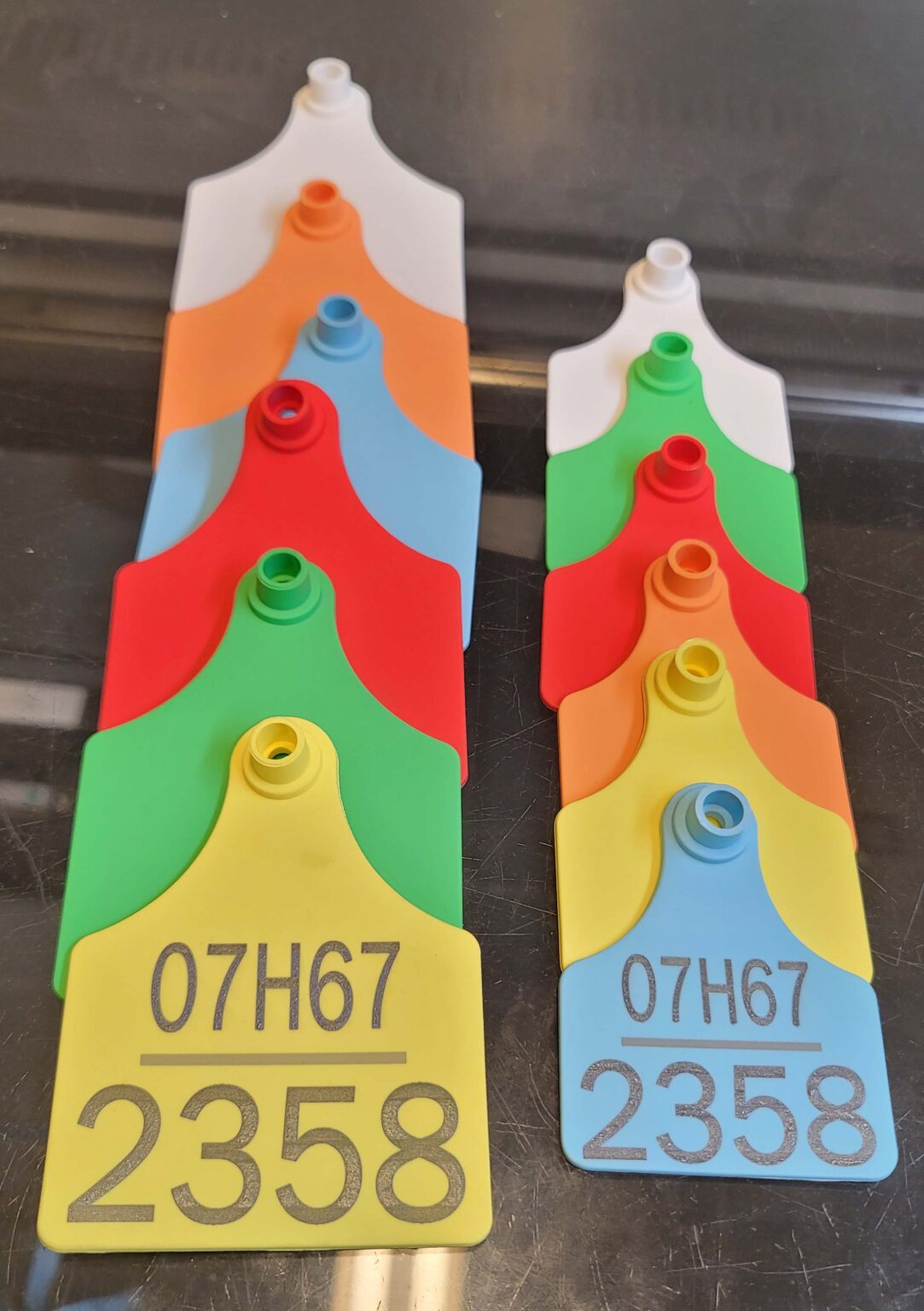 Ear Tags | Gray Laser Engraving